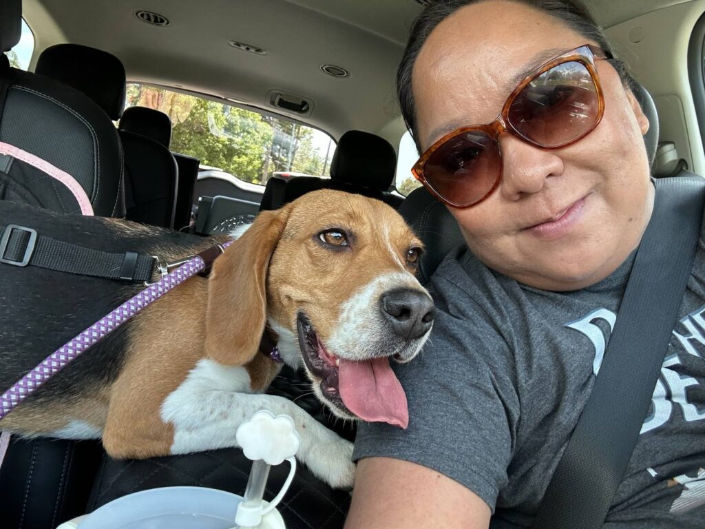 About Us – Bean's Beagles Rescue